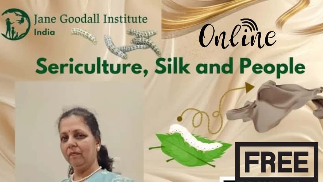 Free Online Webinar on Sericulture, Silk and People